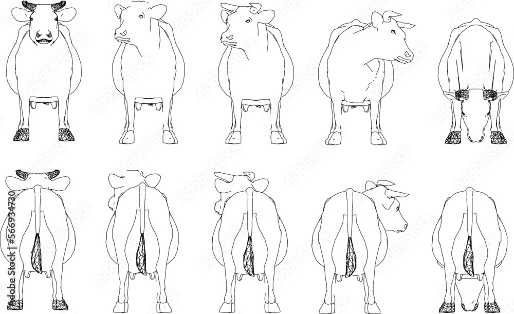 Vector sketch illustration of a fat cow on a farm Stock Vector | Adobe ...