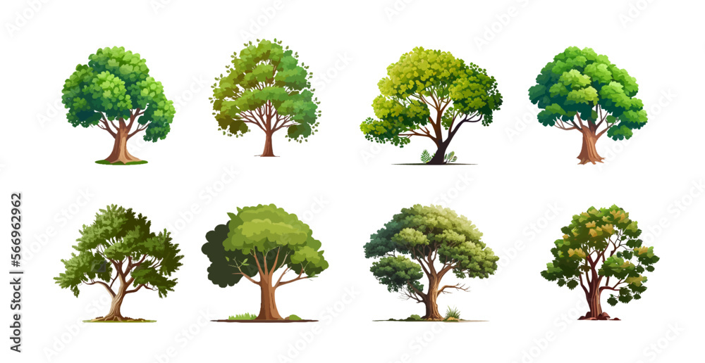 Collection of realistic trees isolated on white background. Beautiful ...