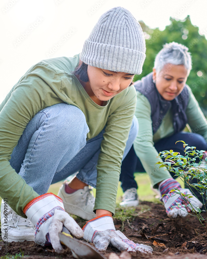 Plants, community service and woman volunteering in park, garden and nature for sustainability ...