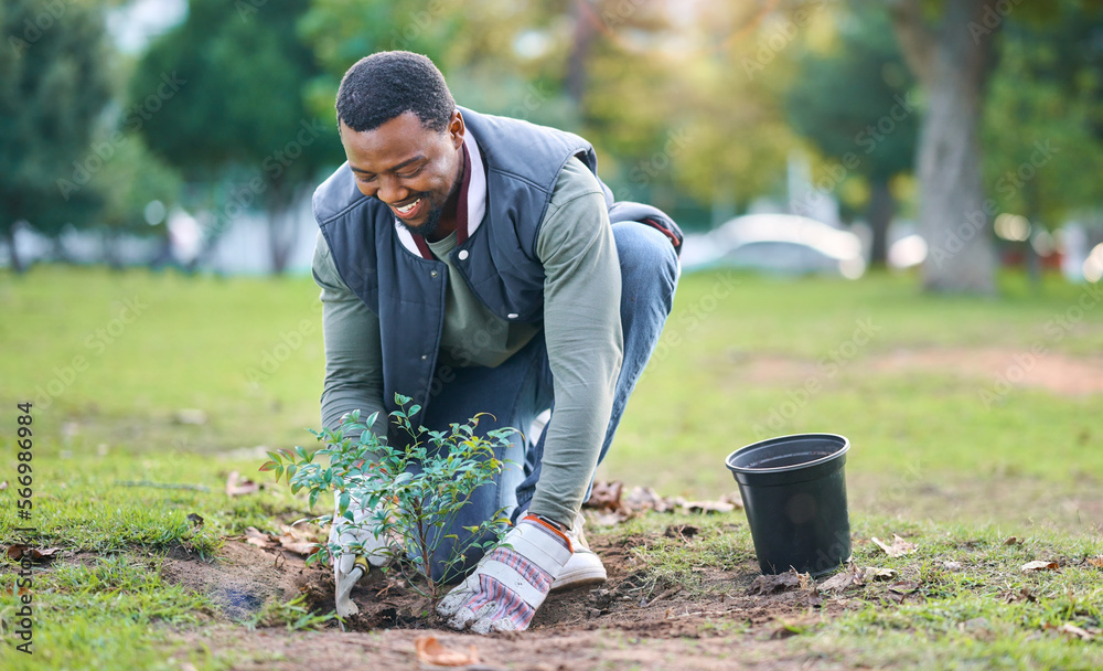 Foto de Community service, volunteering and black man plant trees in ...