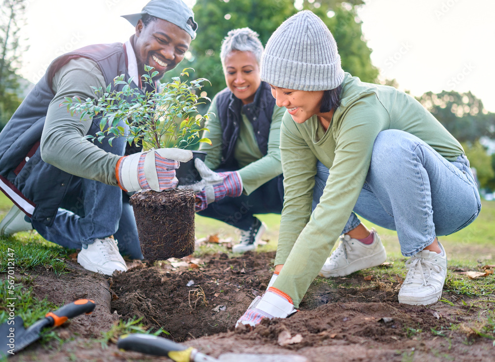 Plants, community service and volunteering group in park, garden and ...
