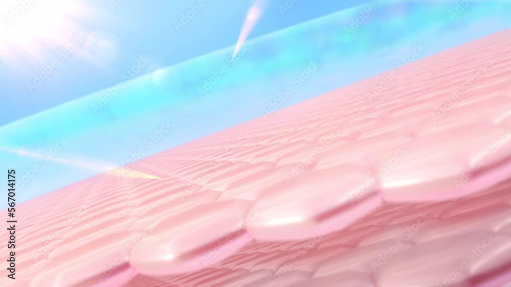 3D Animation Skin cell geometry with a hexagonal shape that reflects UV ...