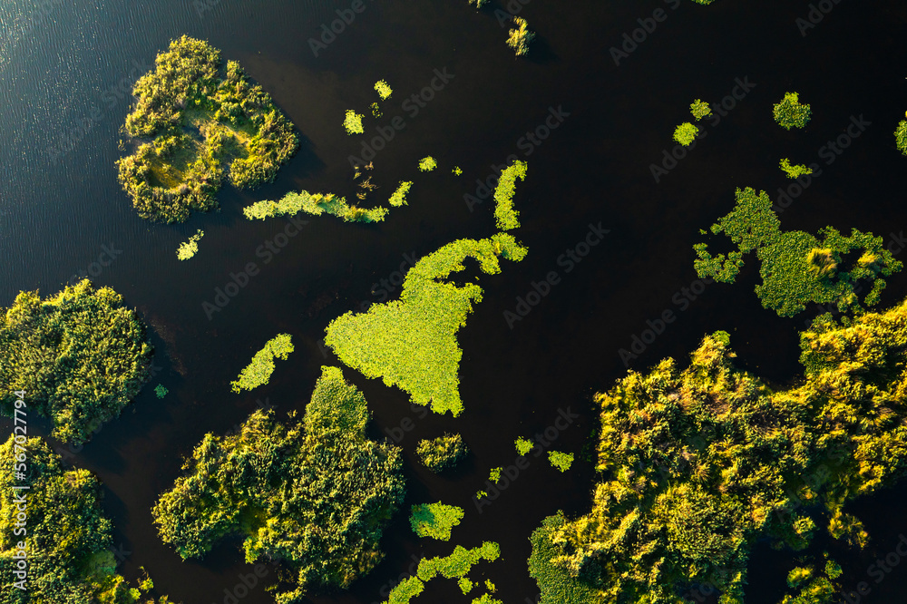 Textures of Danube Delta. Aerial view with the amazing vegetation ...