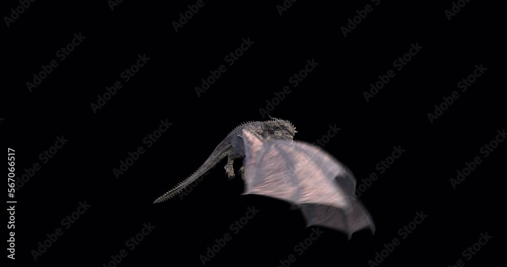 Realistic dragon flying next to camera on black background. Visual ...