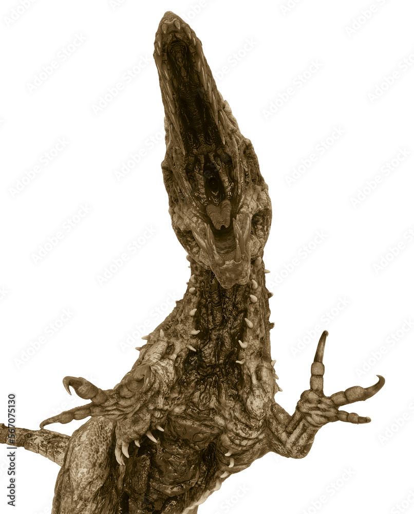 giganotosaurus is a zombie in fighting pose on front close up view ...