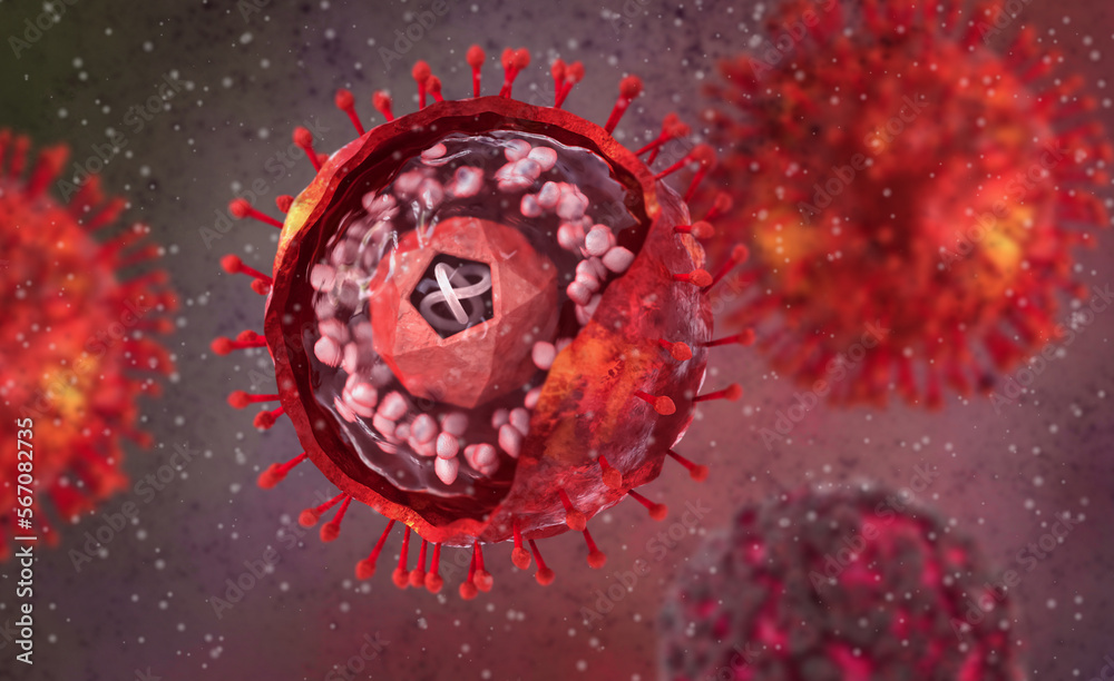 Medical background, herpes simplex virus type one, herpesvirus family ...