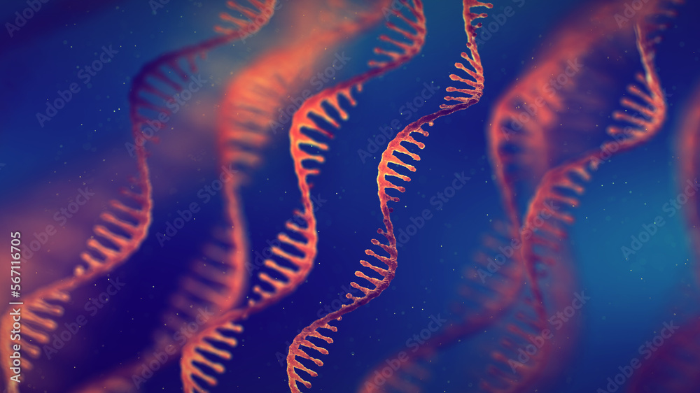 Single strand ribonucleic acid (RNA) molecules. RNA plays an important ...