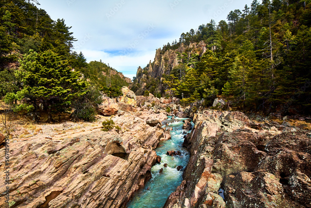 turquoise river of water with sulfur surrounded by forest and cloudy ...
