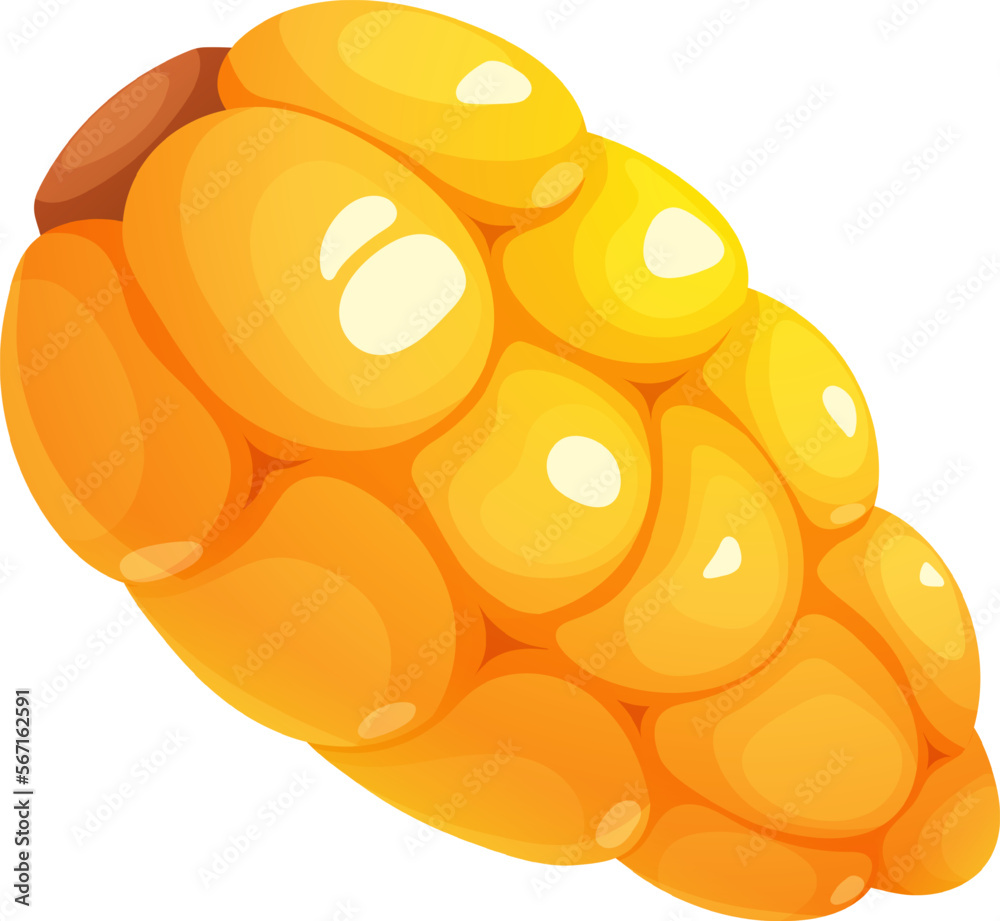Juicy and bright corn cartoon on transparent background. Collection of ...