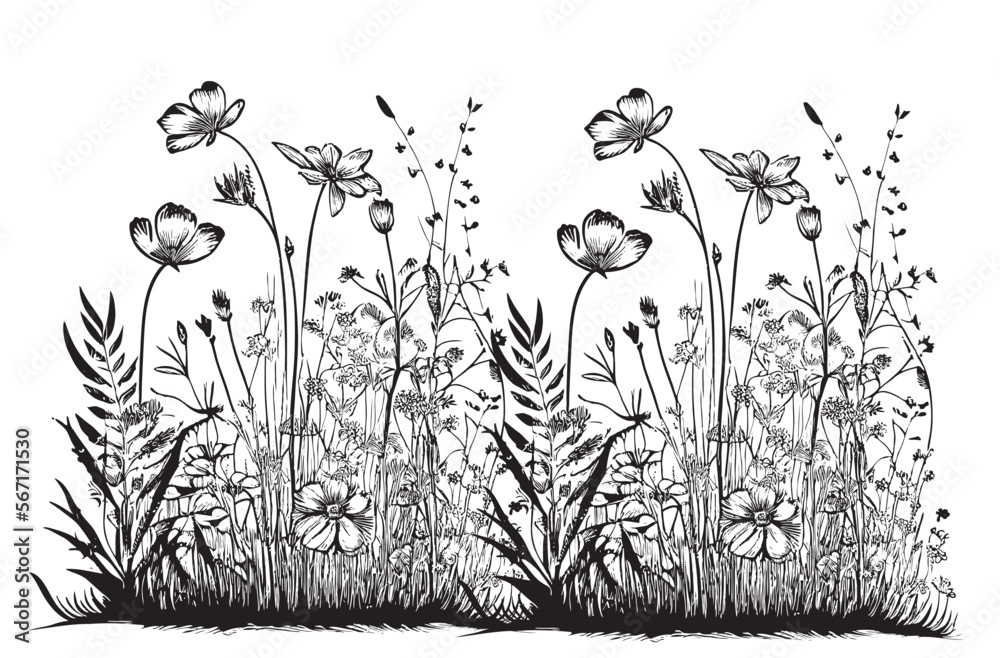 Wild flowers border sketch hand drawn sketch in doodle style Stock ...