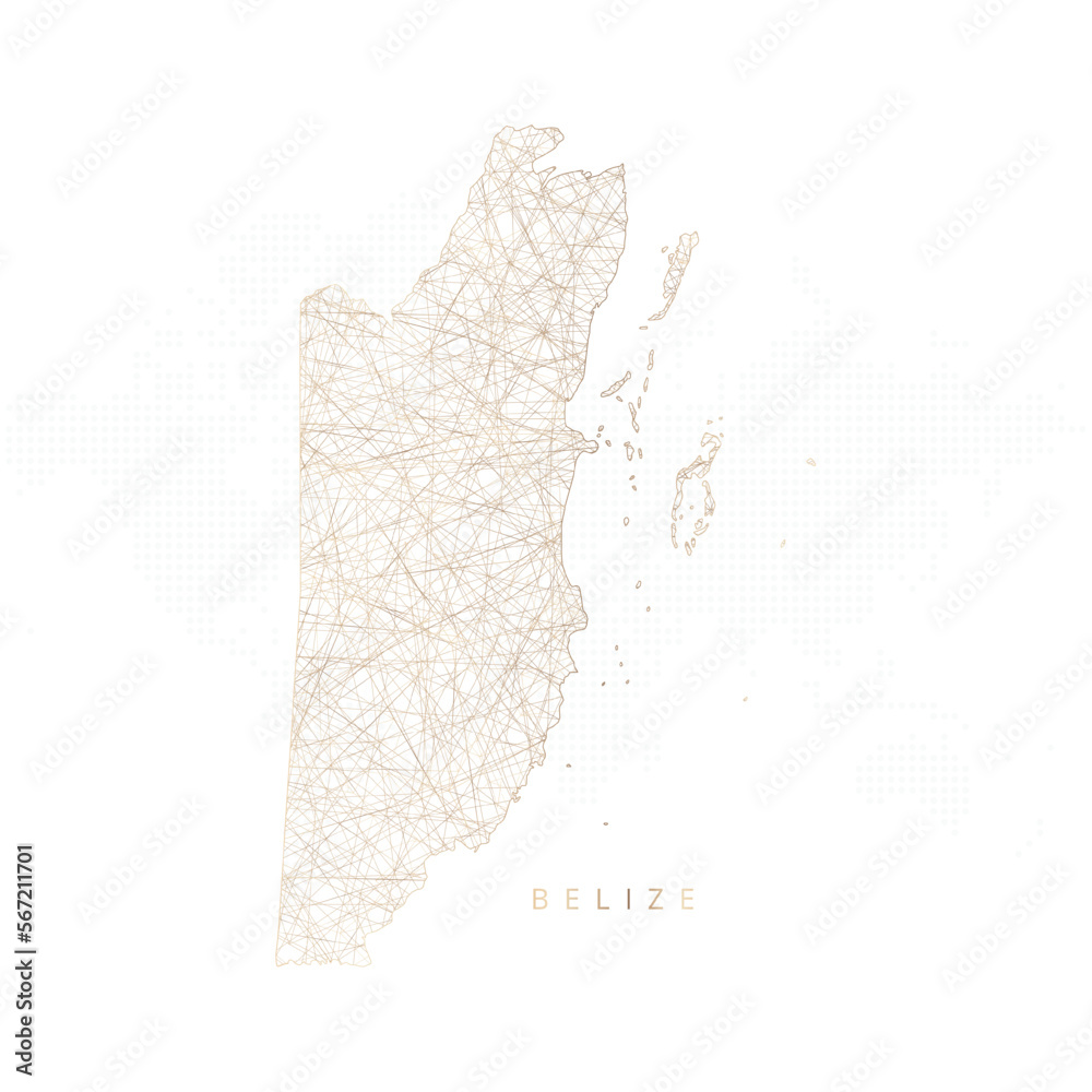 Low poly map of Belize. Gold polygonal wireframe. Glittering vector ...