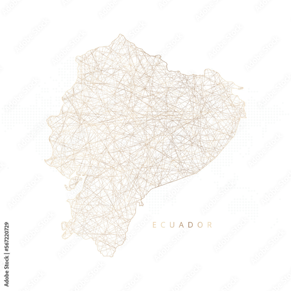 Vetor de Low poly map of Ecuador. Gold polygonal wireframe. Glittering ...
