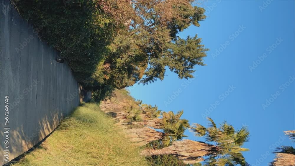 SOCHI, RUSSIA - January 2023: The territory of the park in the city of ...