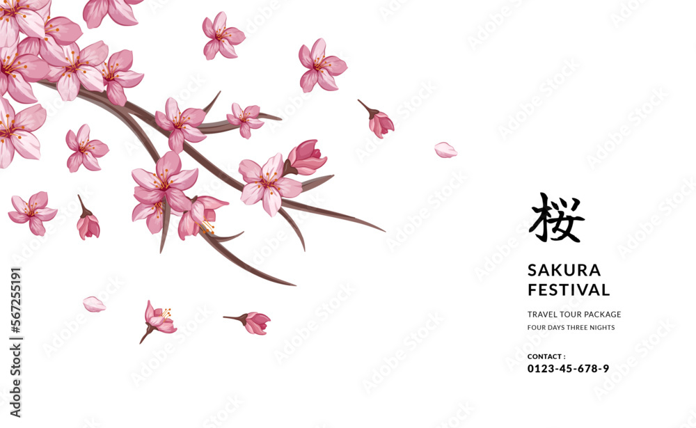 Sakura Flower Cherry blossom natural japan asian tour travel abroad ...