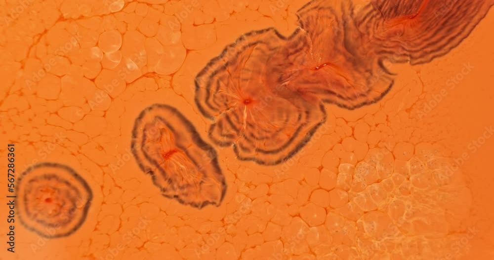 Orange paint flowing wet pattern. Abstract 4k footage background ...