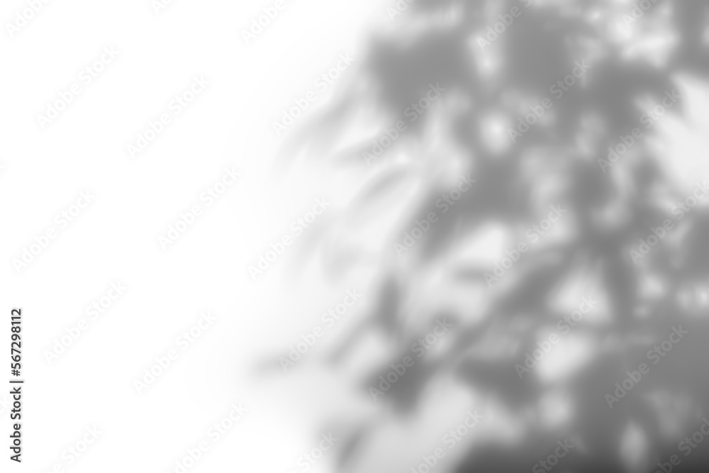 shadow tree with leaves on a gray background. abstract image Stock ...