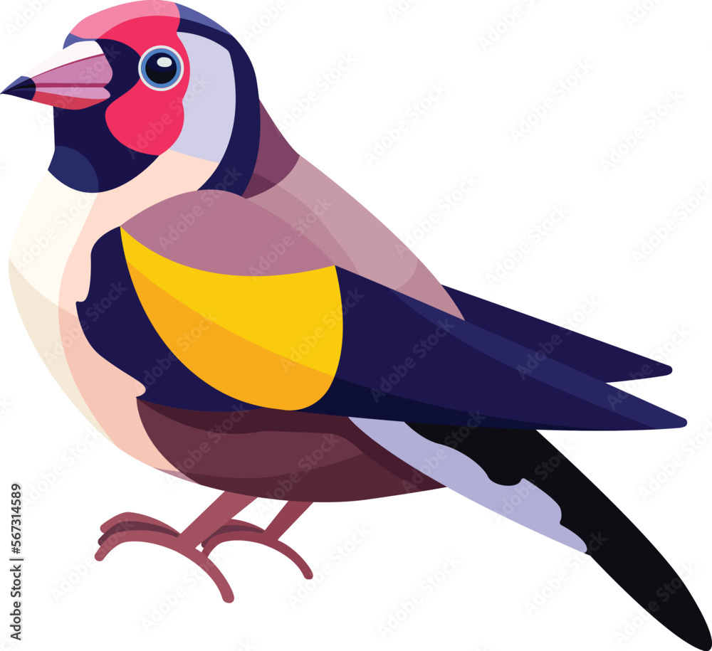 Cute goldfinch vector flat illustration isolated on white background ...