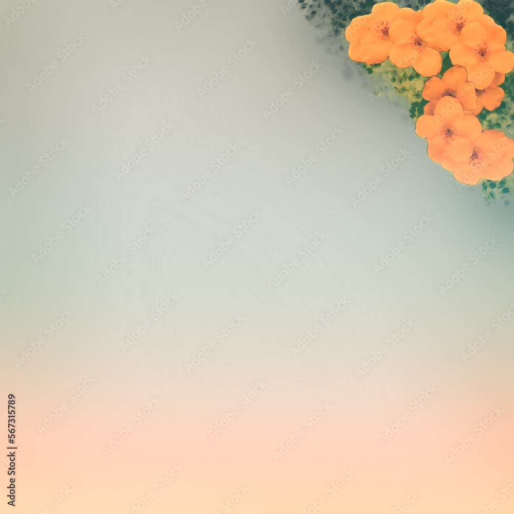 elegant floral art - Realistic botanical flower in corner and art ...
