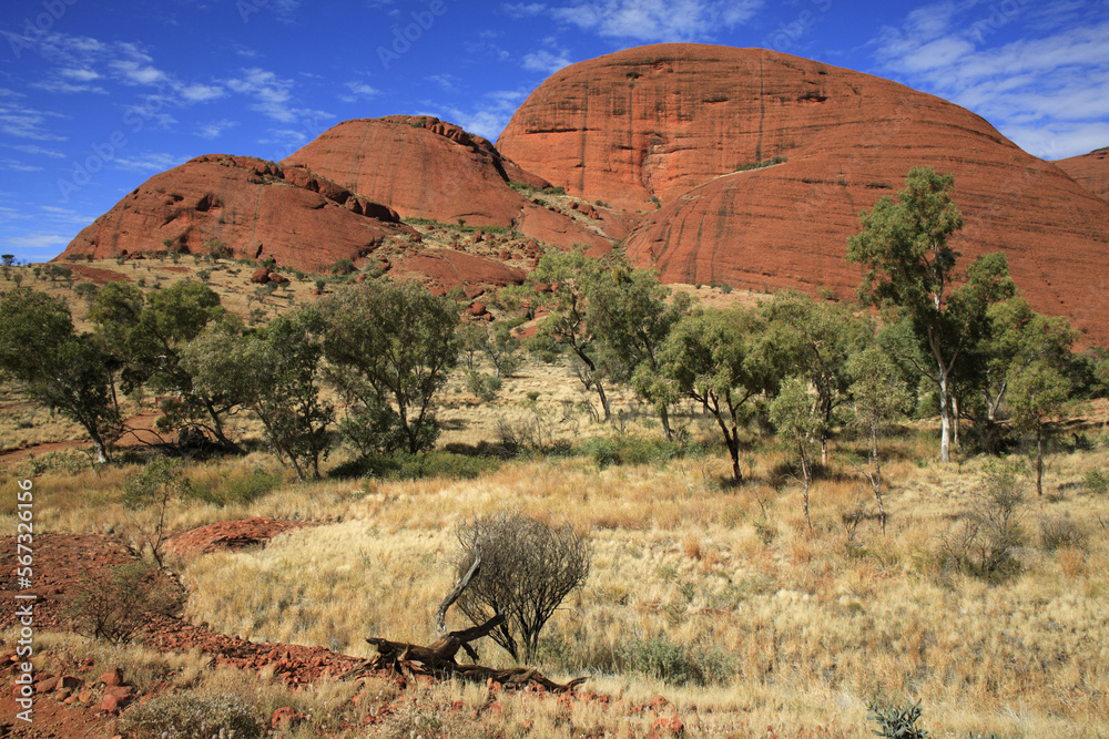 Large red rocks of Kata Tjuta at Uluru - Kata Tjuta National Park in ...