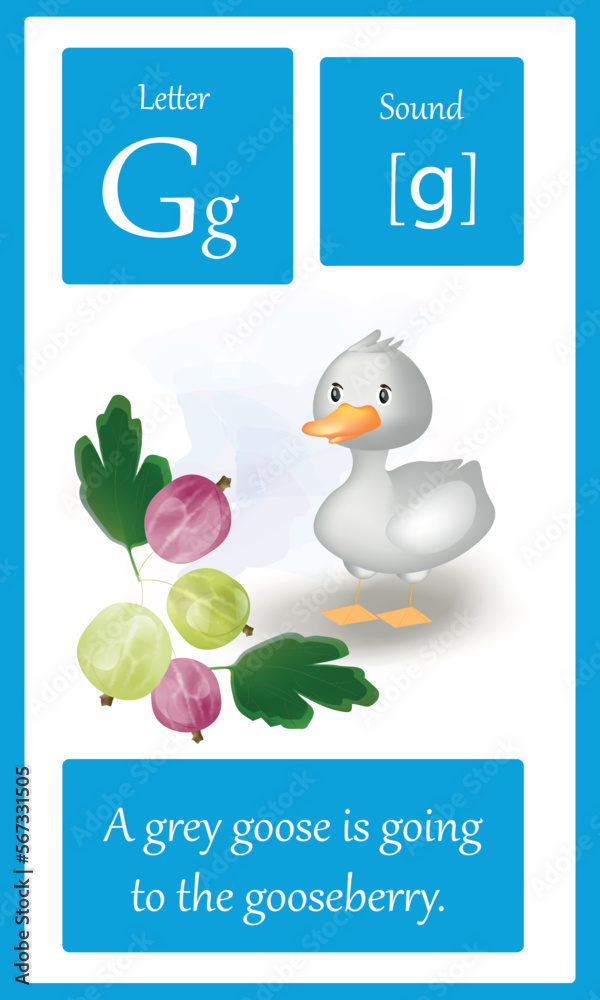 Colorful alphabet letter G. Phonics flashcard with sound. Letter G for ...