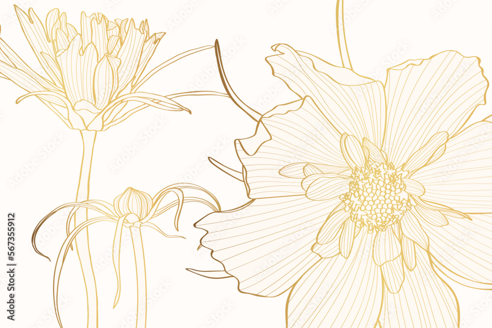 Flower background with golden line Cosmos flower and leaf drawing ...
