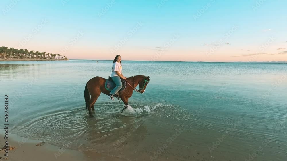 Horseback riding on the beach at sunrise, beautiful young woman riding ...