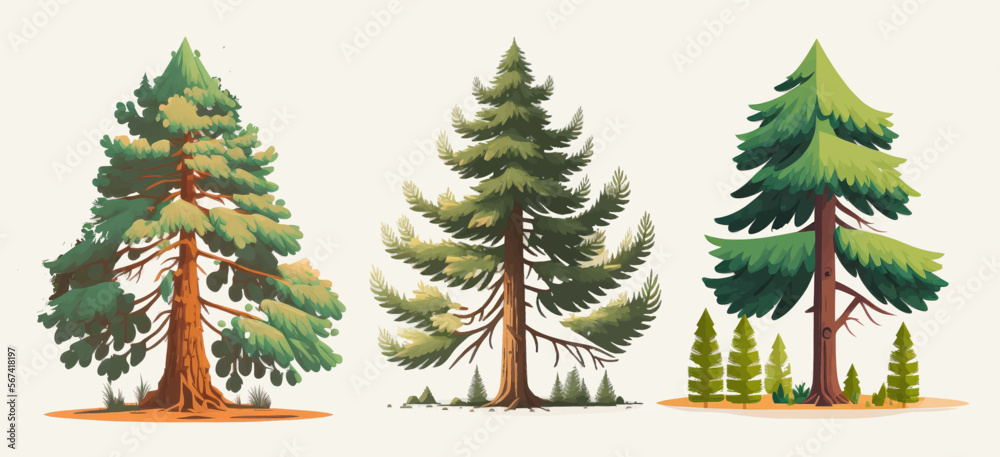 Poster Vector set of cartoon fir trees with coniferous branches and ...