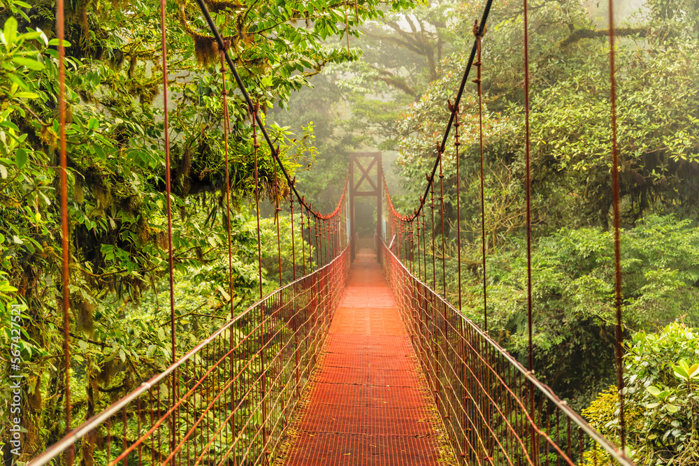 Hanging bridge in a cloud forest, Monteverde, Reserva Biologica Bosque ...