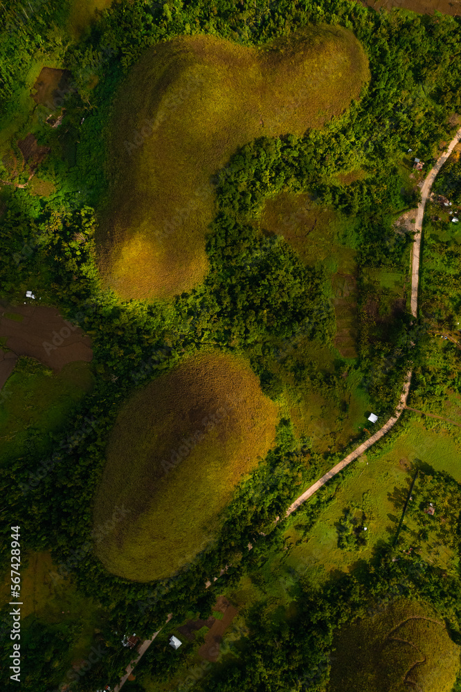 Chocolate hills, incoryable mountains in the center of the island of ...