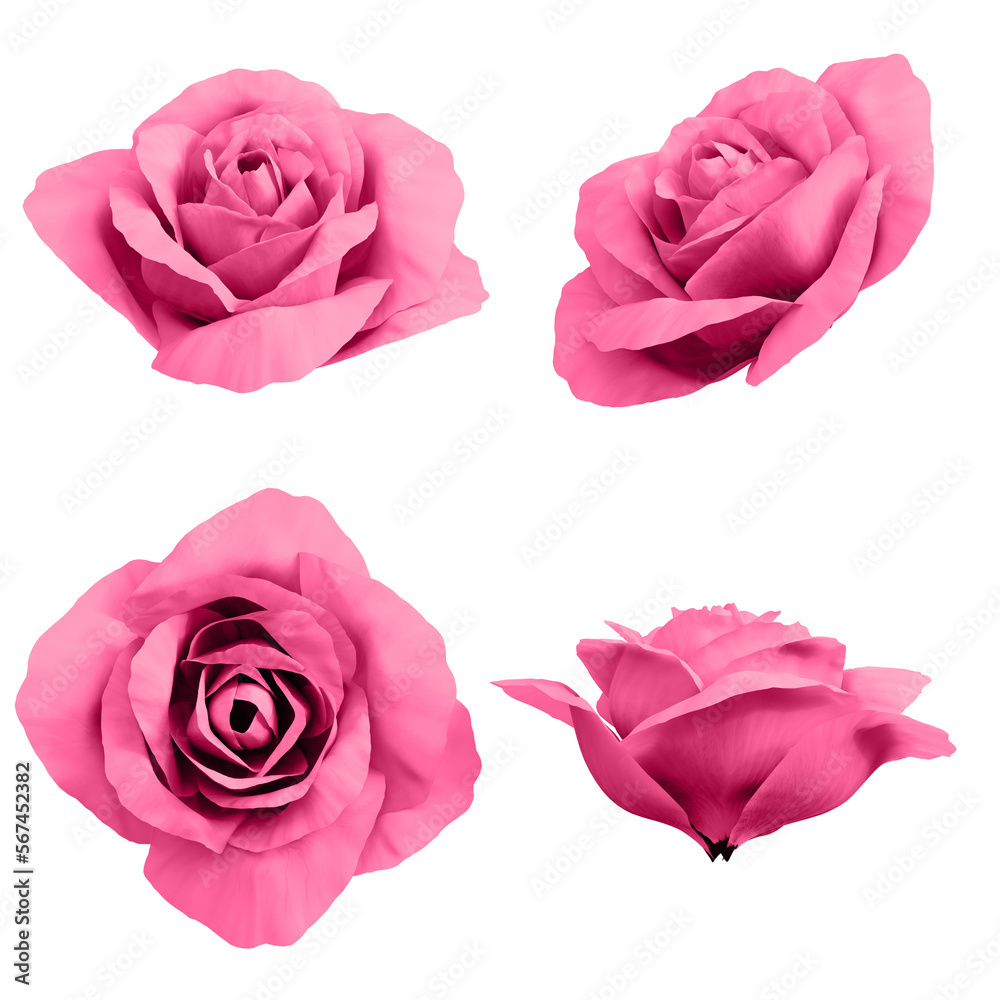 3d pink rose flower buds Stock Illustration | Adobe Stock 3d pink rose flower buds Stock Illustration | Adobe Stock