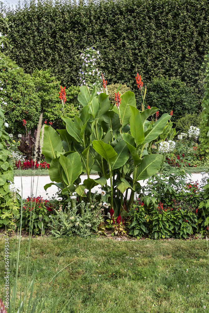 Paris Garden of the Plants (Jardin des plantes or jardin des plantes de ...