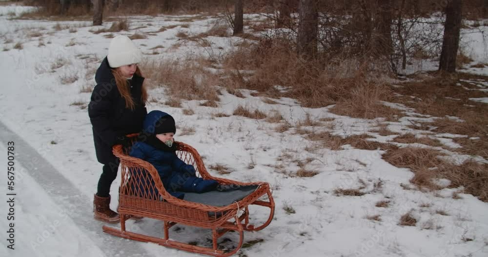 Children riding sleigh. Happy European family walking have fun among ...