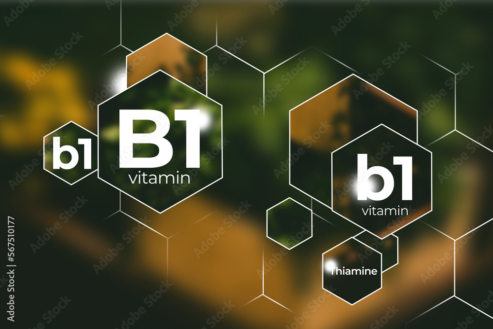 Molecular model of vitamin B1, Thiamine. Hexagons with Vitamin B1 name ...