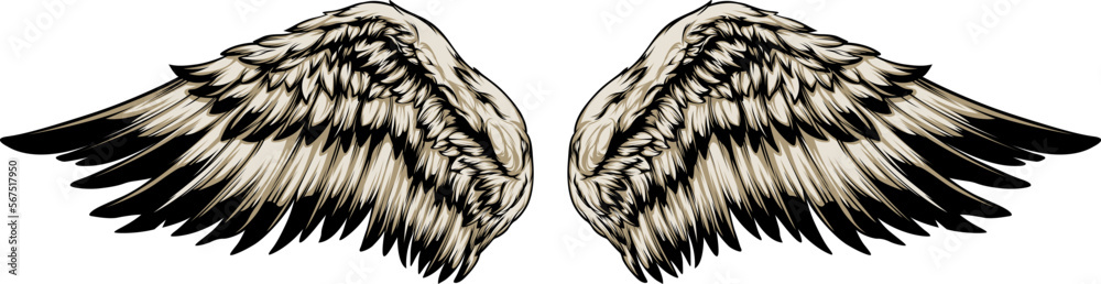Bird wings vector illustration tattoo style. Hand drawn design element ...