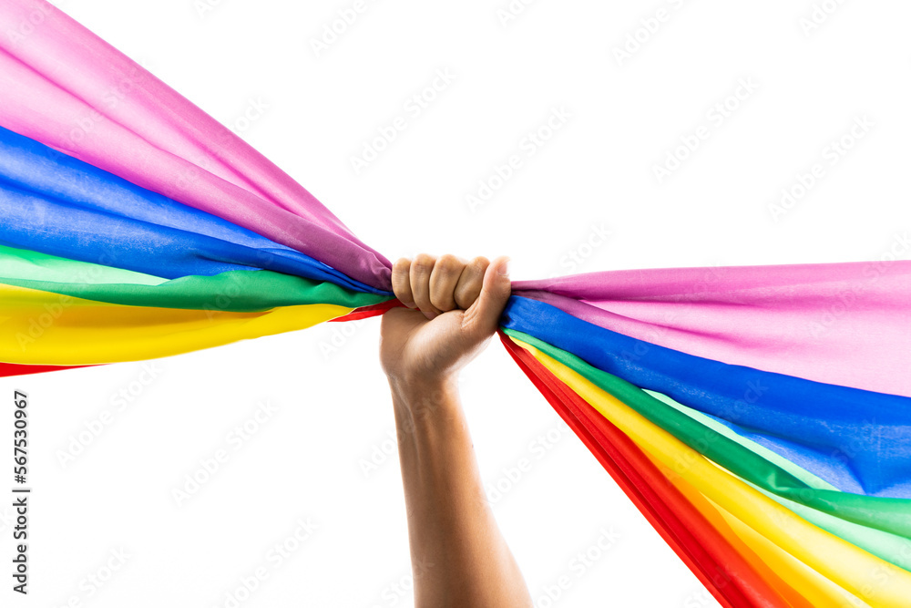 Hand holding rainbow coloured flag with copy space on white background ...
