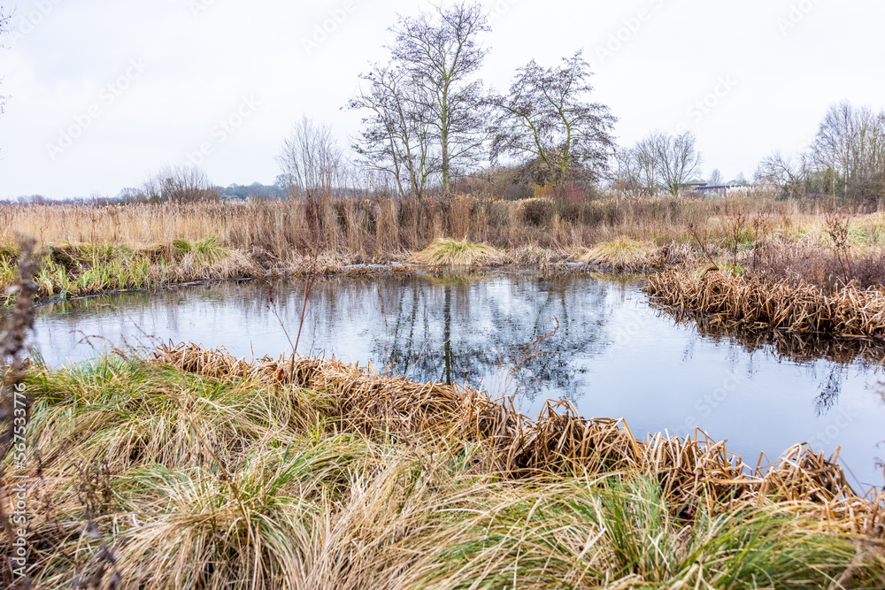 Foto de London Wetland centre, a wetland nature reserve in Barnes ...