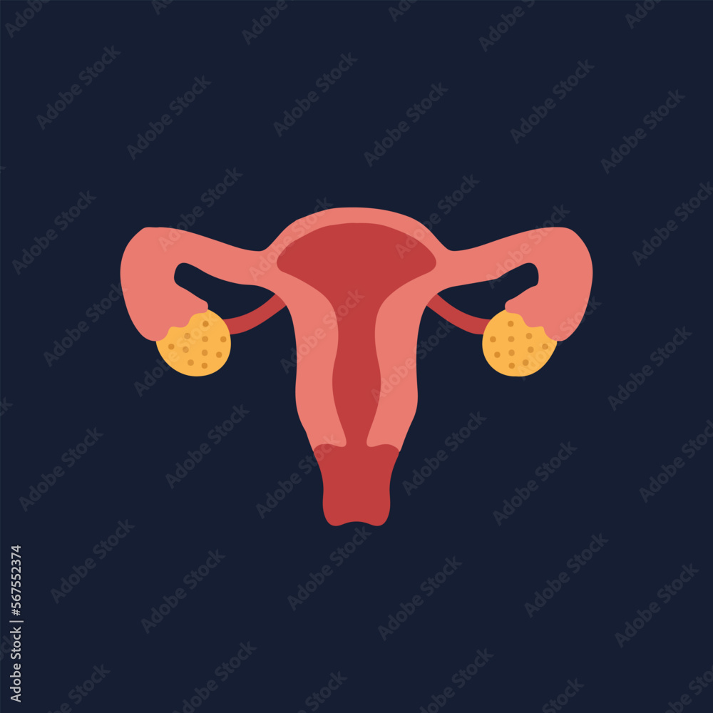 Human Internal Organs Cartoon Anatomy Body Part Female Reproductive