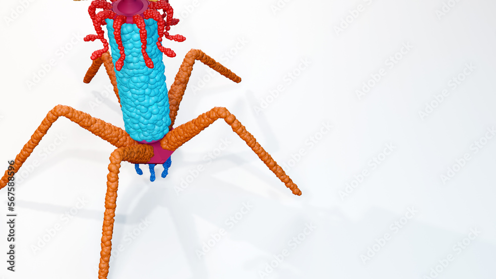 3D illustration of different parts of a bacteriophage 3d model. Stock ...