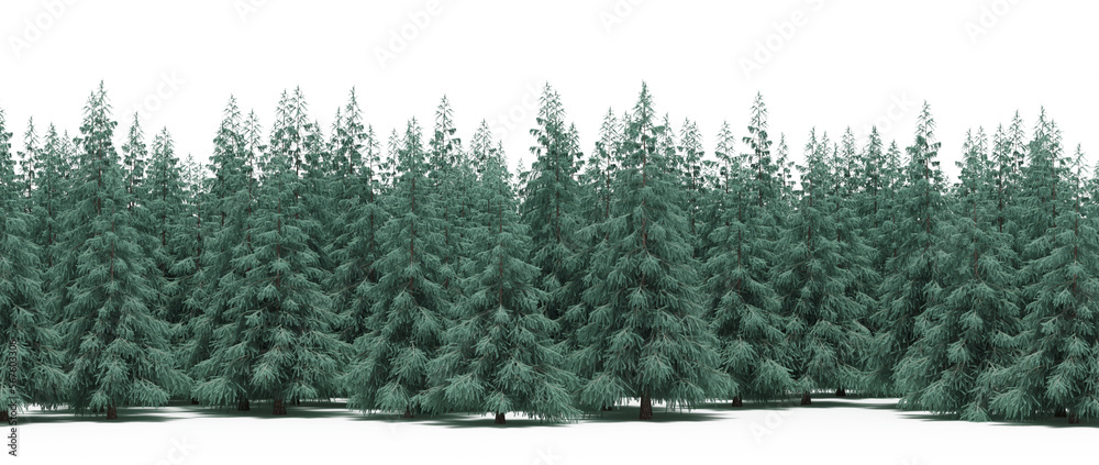 forest line with shadows under the trees, isolated on transparent ...