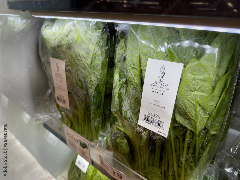 PENANG, MALAYSIA - DEC 30, 2022: Chitose Japanese Spinach with isolated ...