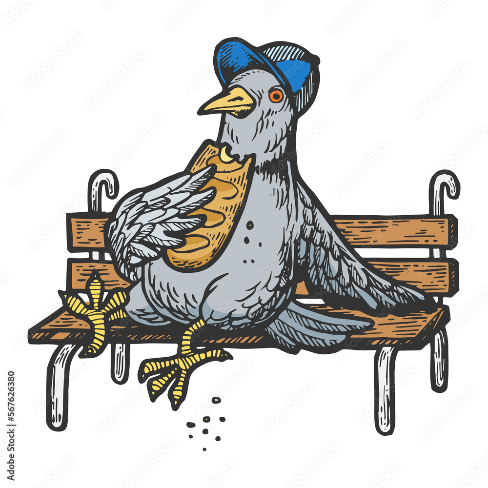 Dove pigeon eat bread on bench engraving PNG illustration with ...
