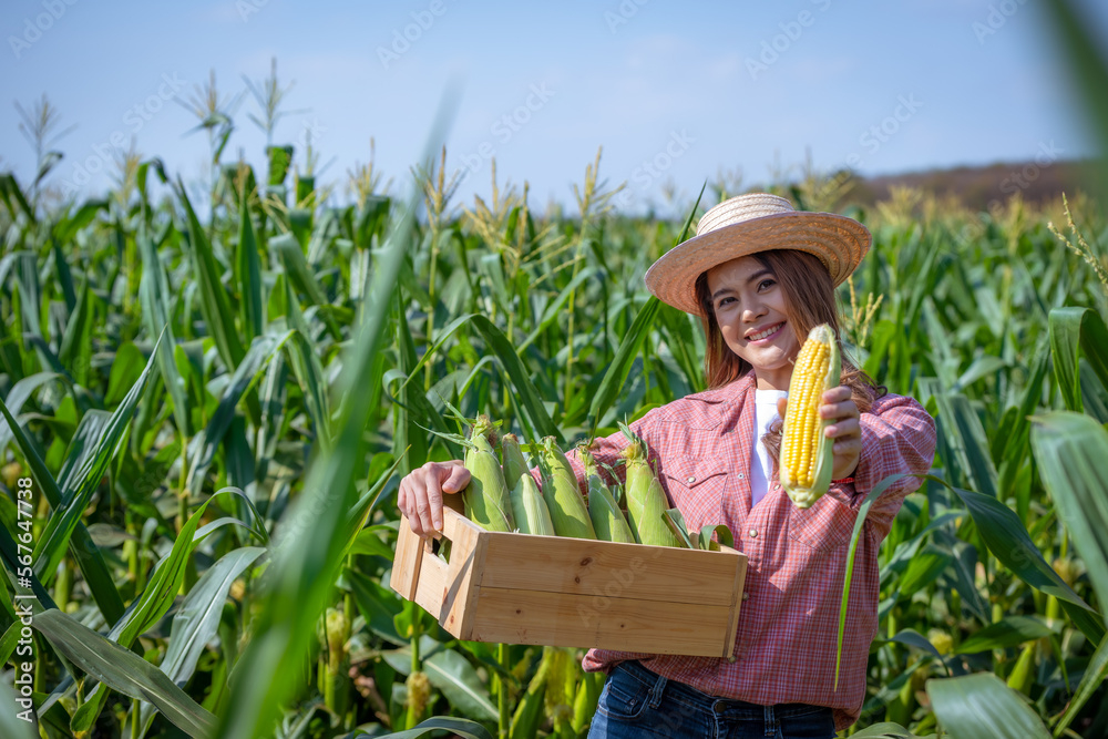 Happy asian woman farmer wearing a red shirt,hat and white gloves.she ...