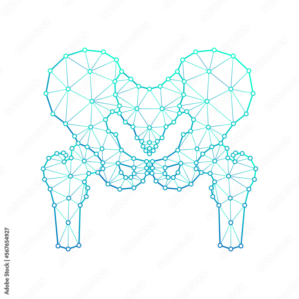Human Hip Bone and Joint Articular Skeletal System Polygonal Low Poly ...