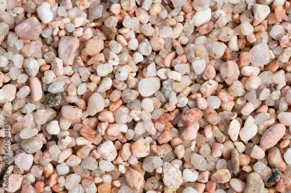 Sassolini della spiaggia con colori pastello tenue, texture, sfondo ...