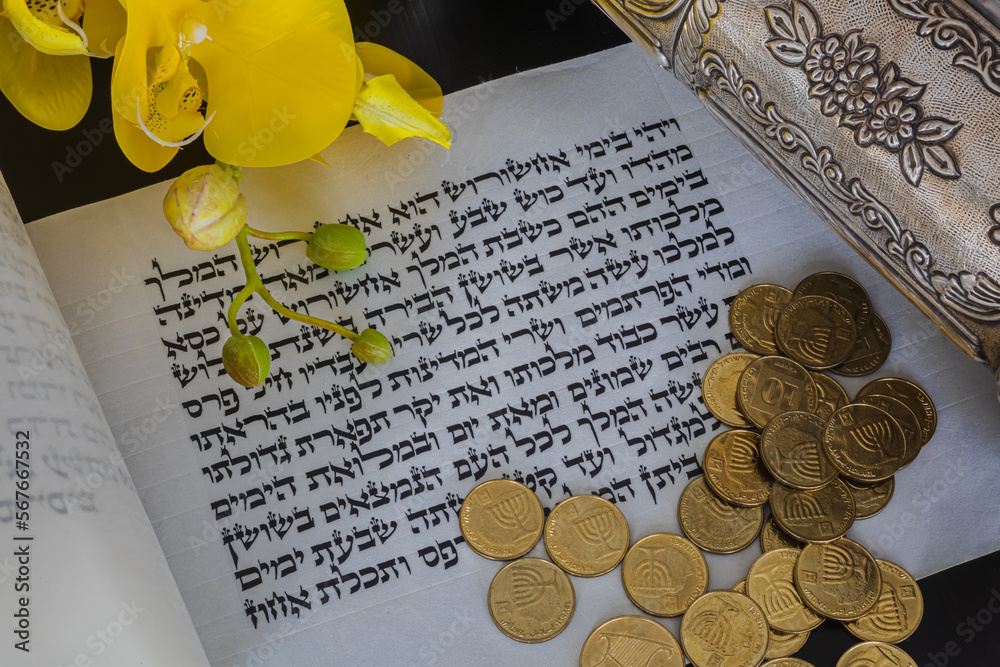 Open Megillat Esther Megillah Megilah Megila Megilat Megilla Scroll Book Of Esther