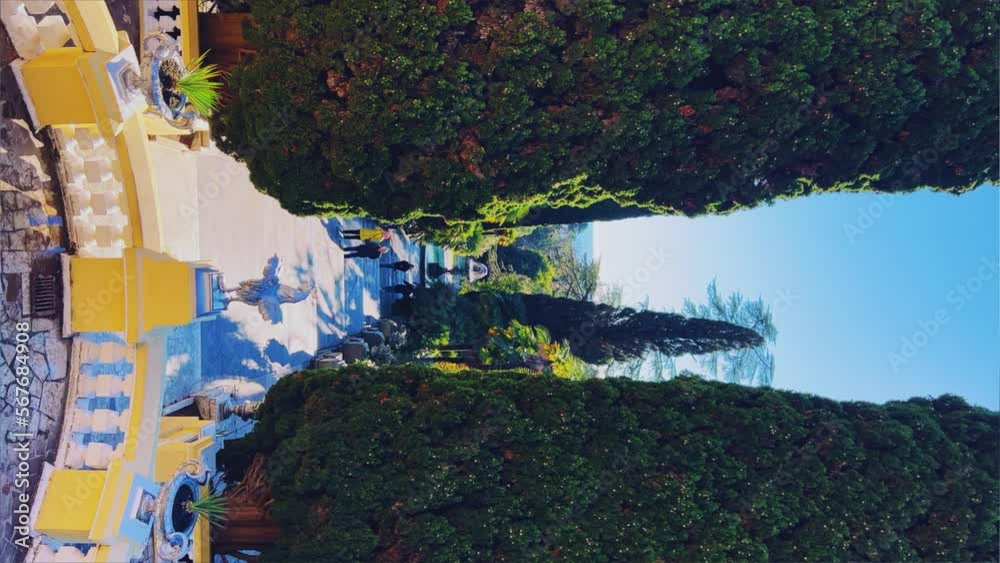 SOCHI, RUSSIA - January 2023: The territory of the park in the city of ...