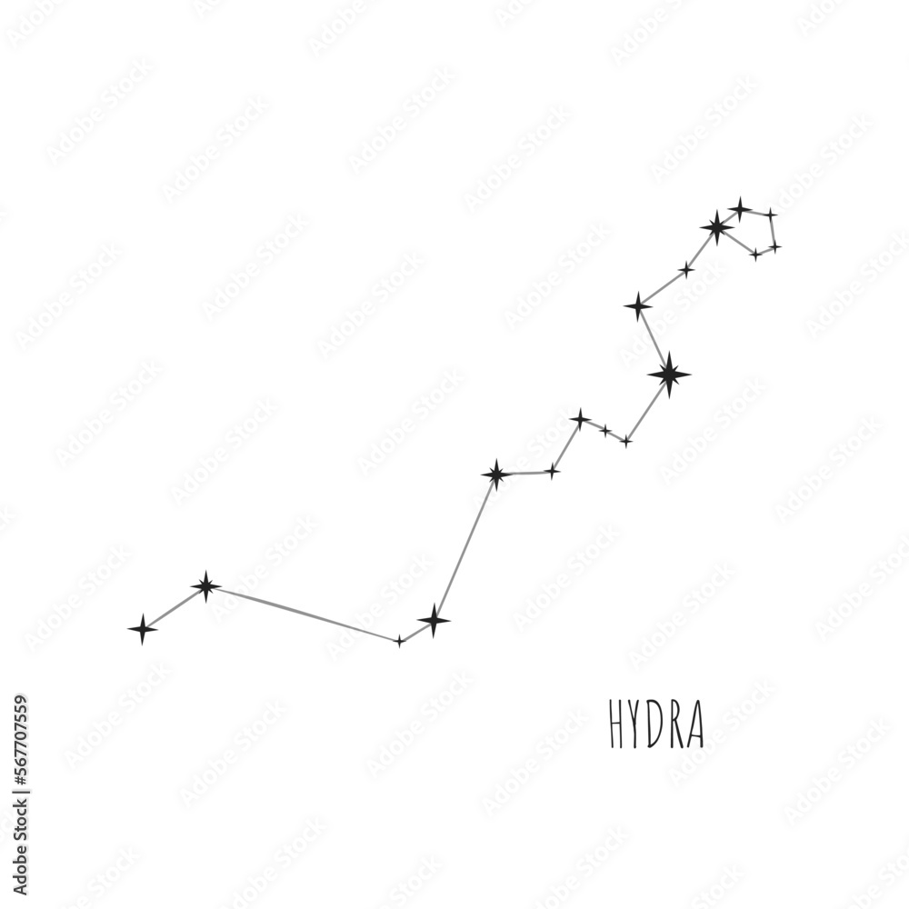 Vector Constellation Hydra on white background. Doodle, sketch, drawn ...