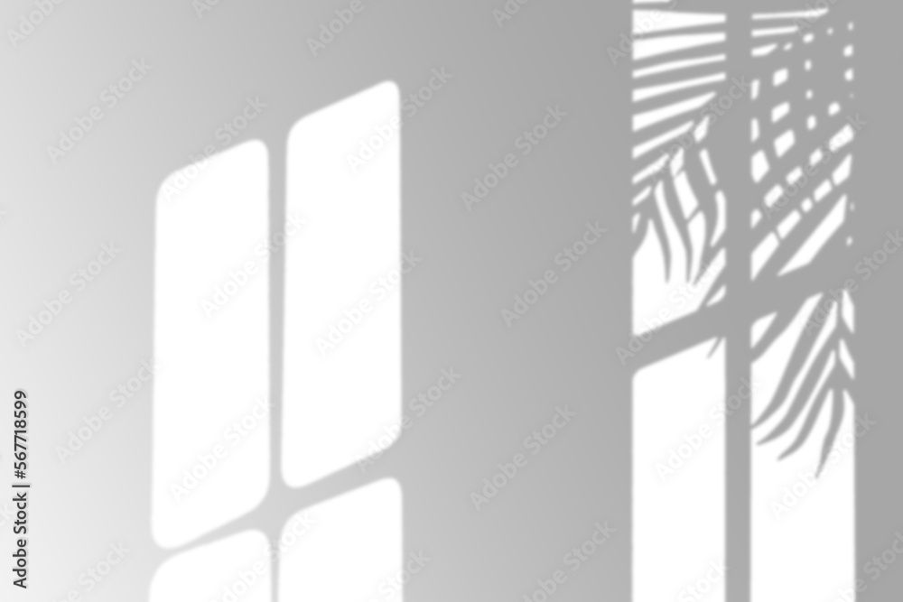 window shadow Tropical plant overlay element for portrait easy to use ...