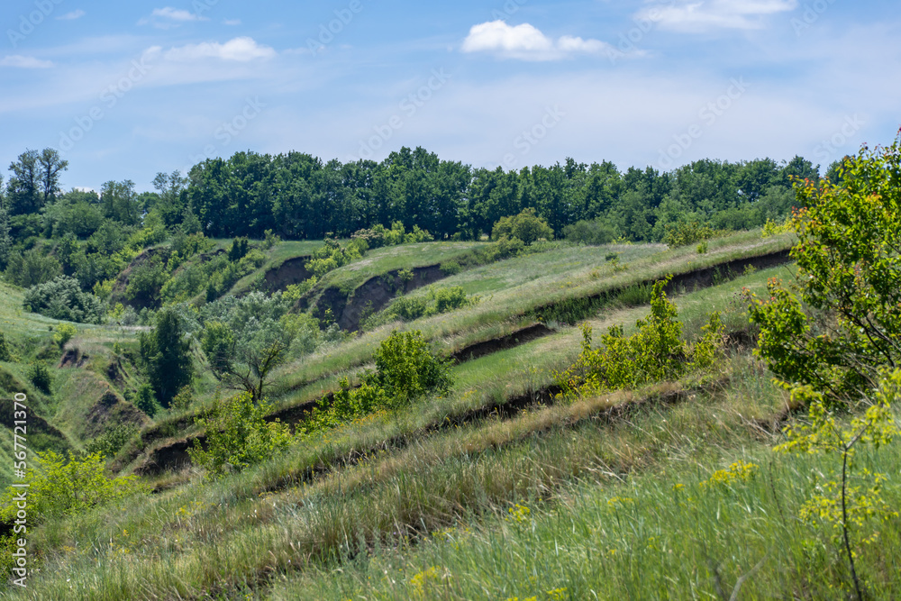 View ravine covered with greenery. Landscape valley with geological ...