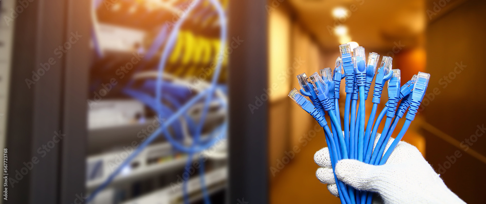 Hand choose lots of RJ45 UTP Cat6 LAN internet network cable fiber ...